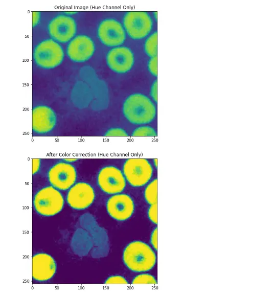 Ml Guide On Cell Segmentation Using Watershed Algorithm